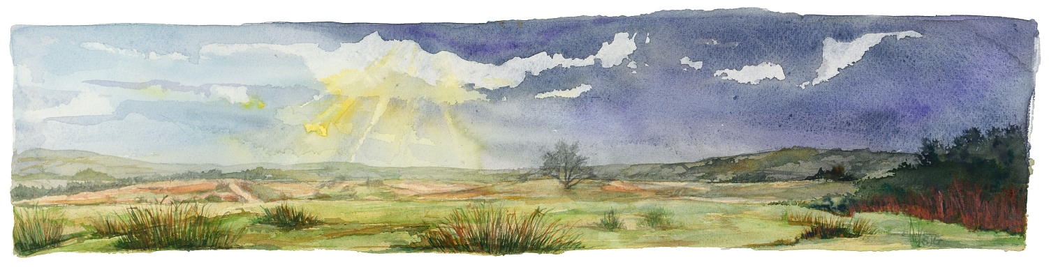 Paintings – Sally Grafton