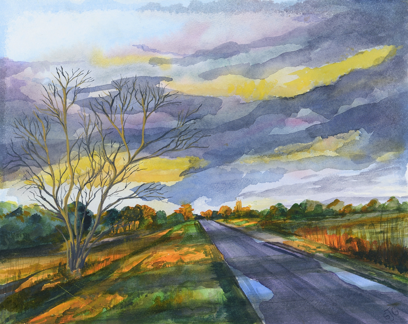 Paintings – Sally Grafton